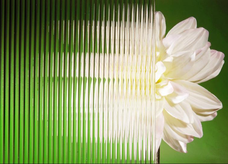 Specialty Glass Western Glass Company